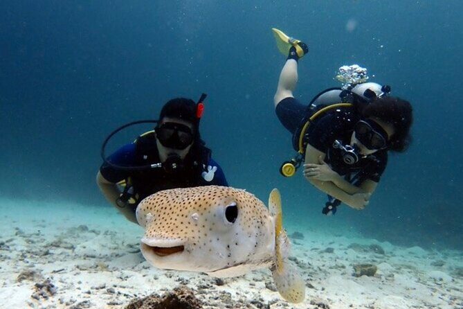 Try Scuba Diving in Racha Yai and Noi for Non-Certified - What the Reviews Say
