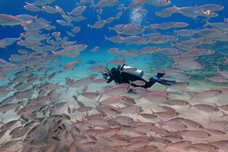 Try Scuba Diving in Racha Yai/noi: 3 Dives for Non-Certified - Why This Tour Stands Out