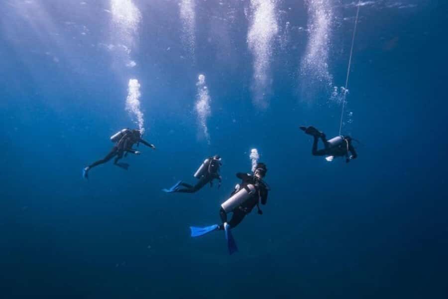 Try Scuba Diving in Tulum Dive Machine Experience - Who Will Love This Tour?