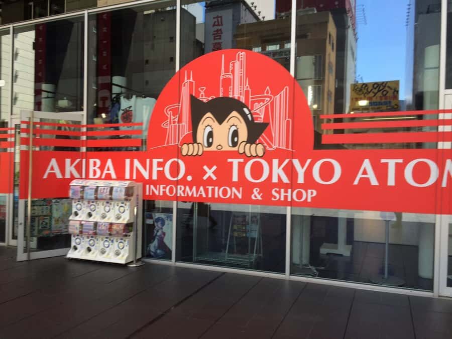 Tsukiji Fish Market Walk + Akihabara Pop Culture Explore - Transportation, Timing, and Group Size