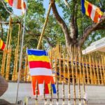 Tuk Tuk Day tour Anuradhapura Ancient City - Transportation & Group Size