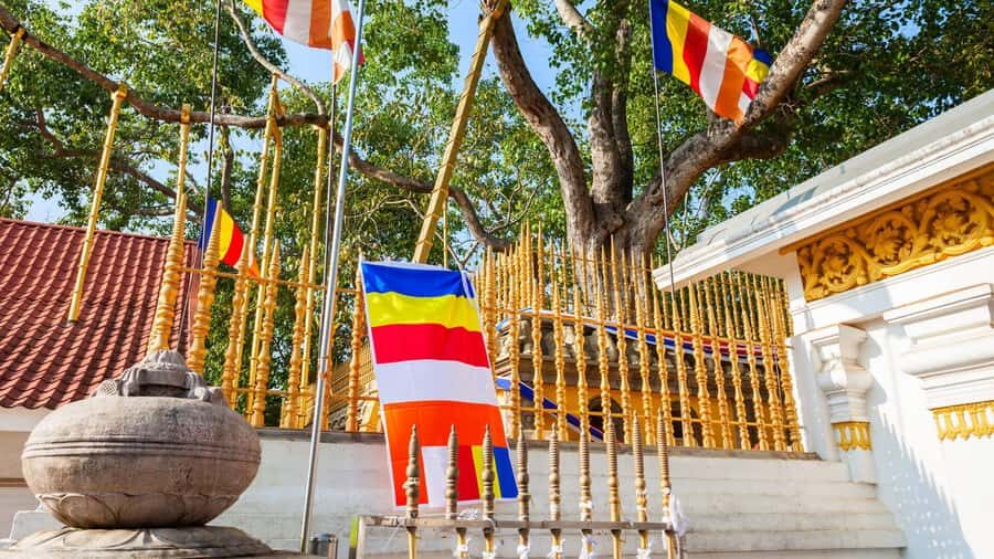 Tuk Tuk Day tour Anuradhapura Ancient City - Transportation & Group Size
