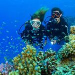 Tulamben Diving Tour Shipwreck USS Bali - The Sum Up: Is This Tour for You?