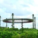 Tulum: Beach Club with Food and Drinks - The Experience at Jaguar Park: Nature and Panoramas