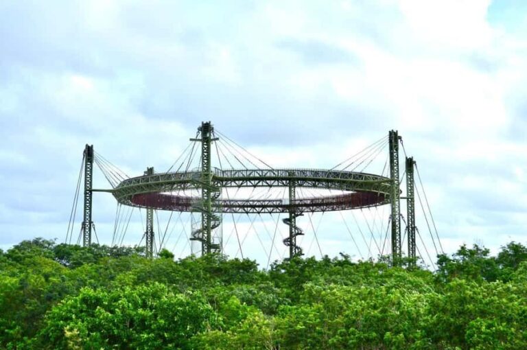 Tulum: Beach Club with Food and Drinks - The Experience at Jaguar Park: Nature and Panoramas