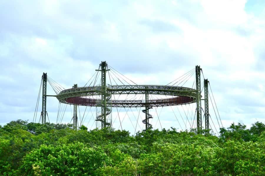 Tulum: Beach Club with Food and Drinks - The Experience at Jaguar Park: Nature and Panoramas