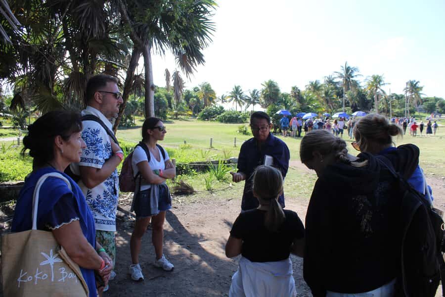 Tulum: Mayan Ruins, Snorkeling, and Jaguar Park Tour - In-Depth Look at the Itinerary