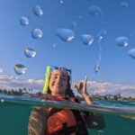 Tulum Platinum Tour with Akumal Turtles & Nohoch Cenote - Analyzing the Value