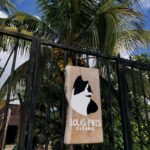 Tulum: Pottery Workshop at Lola's Pots - The Experience: What You’ll Actually Do