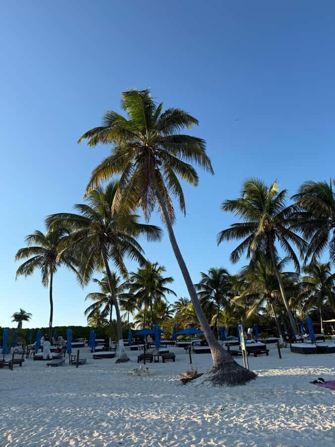 Tulum: Private Beach Photo and Video Session - What We Loved