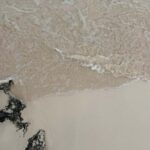 Tulum: Tulum Ruins and Sea Turtle Snorkeling Tour - What Makes This Tour Stand Out?