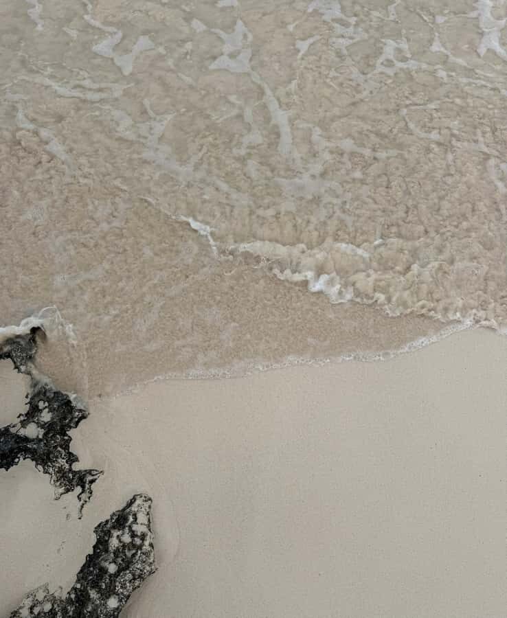 Tulum: Tulum Ruins and Sea Turtle Snorkeling Tour - What Makes This Tour Stand Out?