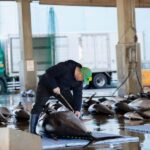 Tuna Auction Market Tour with Local Guide in Nachi-Katsuura - Why This Tour Is Valuable