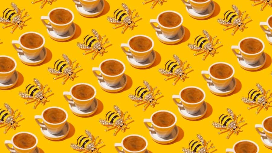 Turkish Coffee Fortune Ceremony - What Makes This Experience Stand Out?