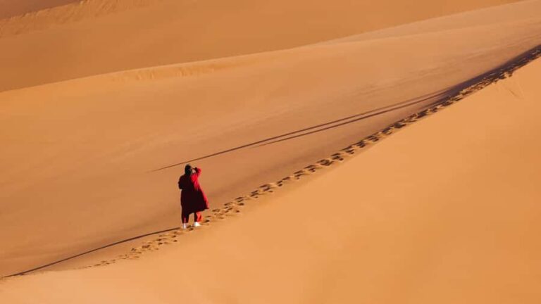 Turpan: Xuanzang Silk Road with Kumtag Desert Private Tour - What About the Value?