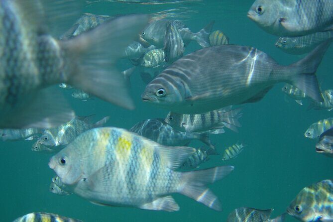 Turtle and Shipwreck adventure on 57 ft catamaran - Why This Tour Offers Real Value