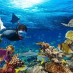 Turtle and Shipwreck Snorkel Private Tour in Barbados - What Travelers Say (Based on Reviews)