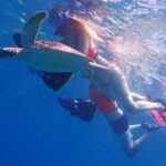 Turtle Beach Power Snorkeling Adventure - What Makes This Excursion Stand Out?