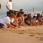 Turtle Release & Crocodile Watching in Ixtapa Zihuatanejo - Who Will Enjoy This Tour?