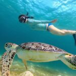 Turtle Snorkel Sail on Buck Island from Frenchman's Reef - Whats Included and What Costs Extra
