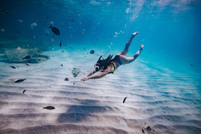 Turtle Spotting Snorkel Malmok And Tres Trapi - Why This Tour Offers Good Value