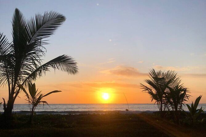 Turtle Tales of Pulau Banyak - Authentic Encounters and Highlights