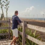 Turtles, Beach and Flamingo in Curacao Private photoshoot Tour - The Photography and Experience Value