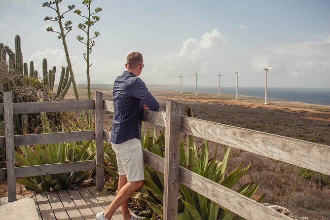 Turtles, Beach and Flamingo in Curacao Private photoshoot Tour - The Photography and Experience Value