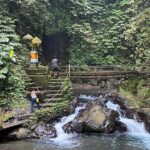 Twin Waterfalls Private Tour in Bali - Who Will Appreciate This Tour?