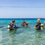 Two and a Half Hours Scuba Diving Experience in Curacao - The Itinerary in Detail