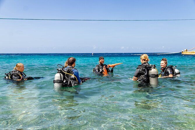 Two and a Half Hours Scuba Diving Experience in Curacao - The Itinerary in Detail