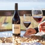 Two Day Private Wine and Bike Tour Vancouver to Kelowna - An In-Depth look at the Tour Experience