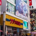 Two-Day Trip from Tokyo to Osaka - Transport, Group Size, and Overall Value