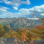 Two Days Nikko Cycling Tour guided by a Local Monk - Day 1: Cultural Heritage and Local Flavors