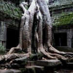 Two-days tour discovering Angkor Wat,The carving of 1000 Lingas and Beng Mealea - Who Is This Tour Best For?