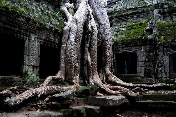Two-days tour discovering Angkor Wat,The carving of 1000 Lingas and Beng Mealea - Who Is This Tour Best For?