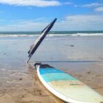 Two Hour Surf Lesson in Torquay on the Great Ocean Road - Authentic Experiences and Traveler Insights