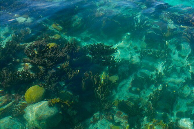 Two Stop Snorkel and Shipwreck from Dockyard - Who Will Love This Tour?