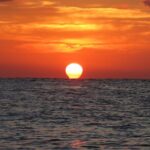 Two Tank Certified Cozumel Scuba Adventure - Analyzing the Value