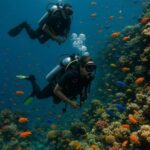 Two-Tank Certified Diver  Negril Scuba Diving Experience - What Reviewers Say