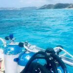 Two Tank Dive - Practical Tips for Booking and Enjoying