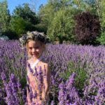 U-Pick Lavender Experience on Bainbridge Island - A Detailed Look at the Lavender Experience