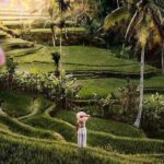 Ubud: 3-Day Tour with Sacred Monkey Forest Sanctuary. - Logistics and Practicalities