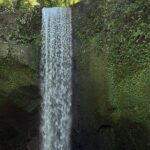 Ubud 4 Waterfall Tour with Private Driver - Authenticity and Value: What Travelers Say