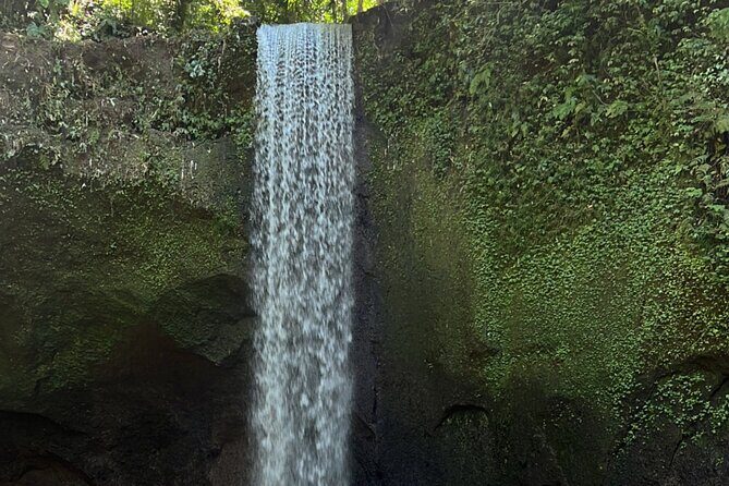 Ubud 4 Waterfall Tour with Private Driver - Authenticity and Value: What Travelers Say