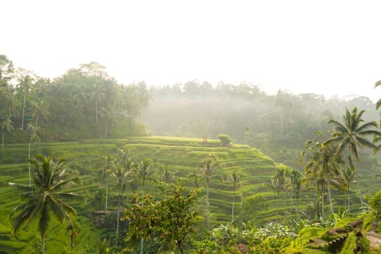 Ubud Adventure: Monkey Forest, Rice Terraces & Waterfalls - Practical Details & Tips