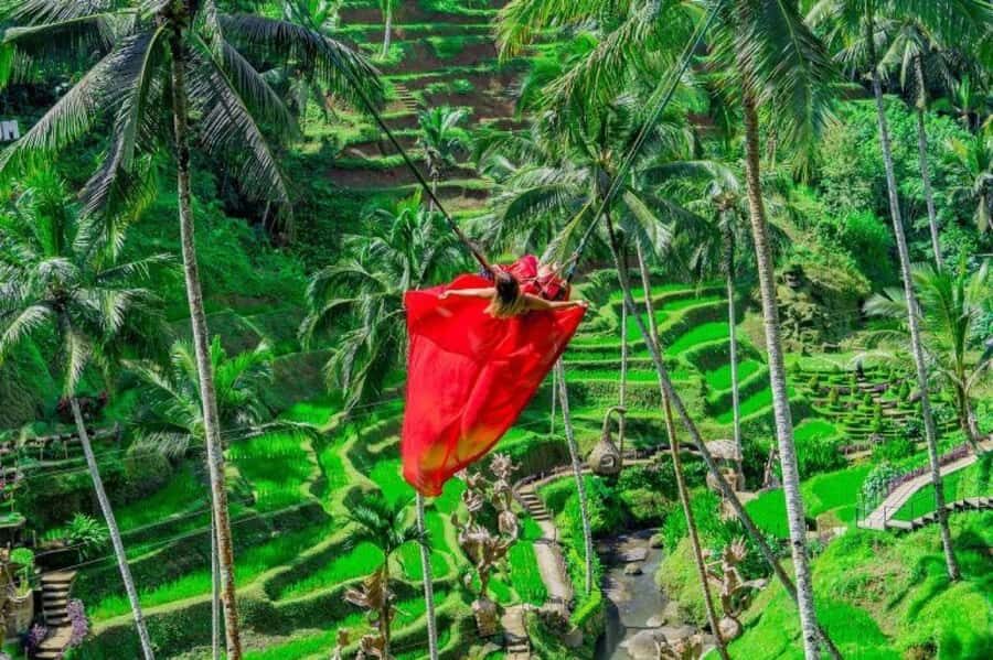 Ubud: Alas Harum, Temple, and Waterfall - Private Tour - An In-Depth Look at the Ubud Private Tour
