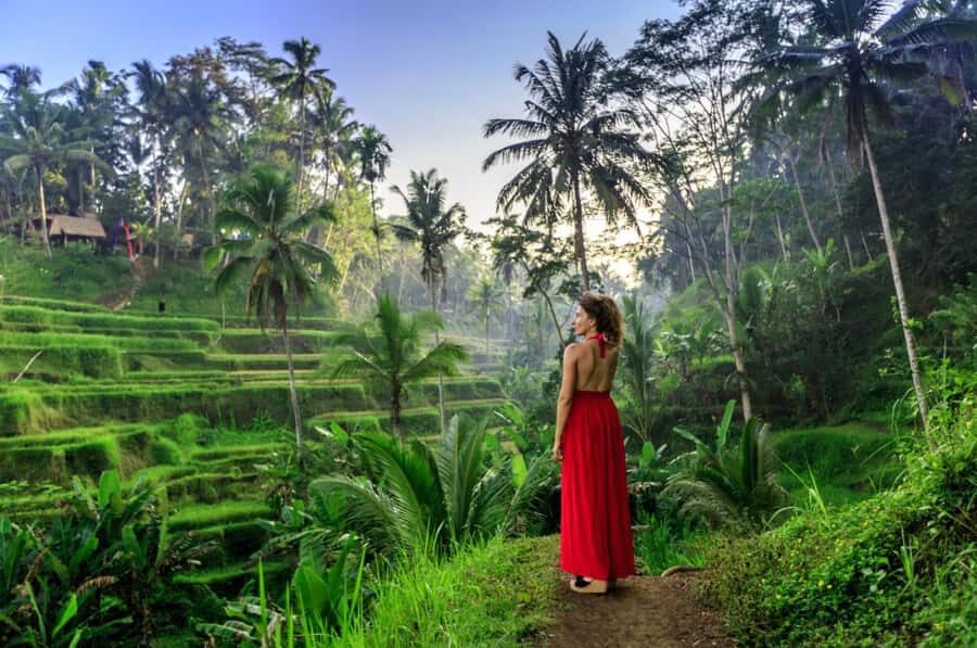 Ubud: All-Inclusive Tour with Optional Lunch - Transport, Group Size, and Practicalities