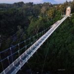 Ubud: Art & Nature Tour with Waterfall and Glass Bridge - Practical Details and Tips