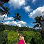 Ubud: Artistic Adventure, Sacred Monkeys, and Rural Peace - Why This Tour Offers Good Value